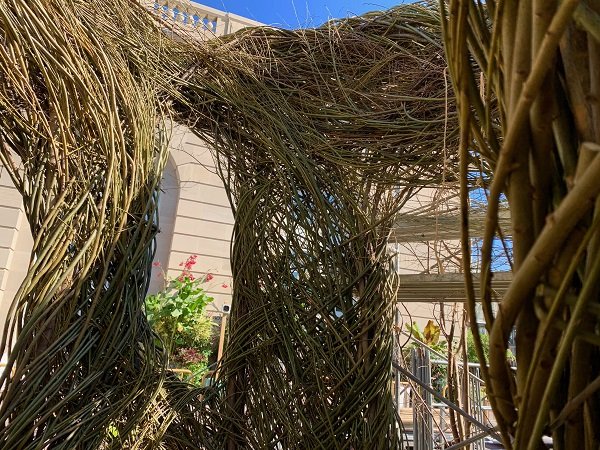 Botanic Garden Bicentennial Features Sculpture Installation by Patrick ...