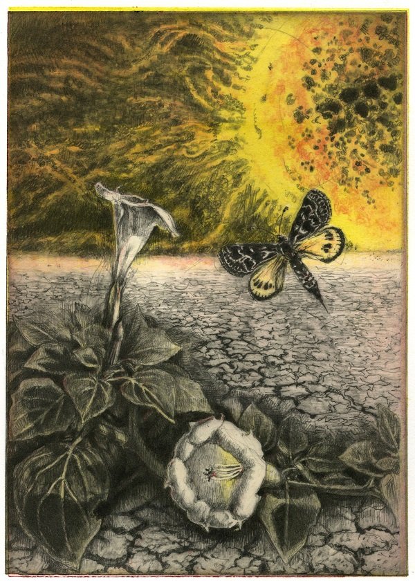 WPG | Curtis Bartone In the Drift | East City Art