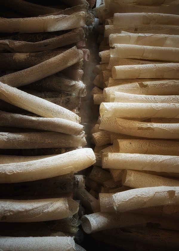 Freight Gallery | Allison Hudson Almost Contained - East City Art